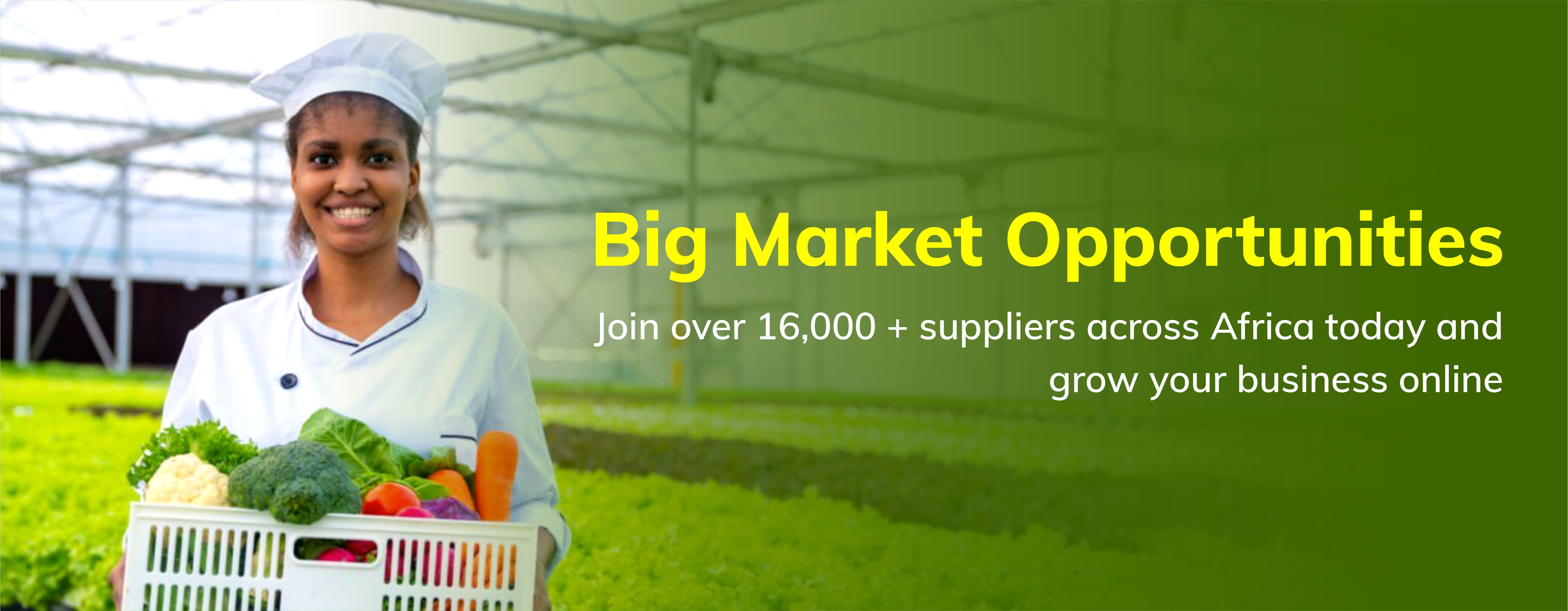 Traders of Africa | Pan African hub for facilitating trade with and ...